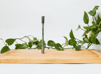 JoGo® - Ultra Portable Coffee Brewing Straw – JoGo Straw